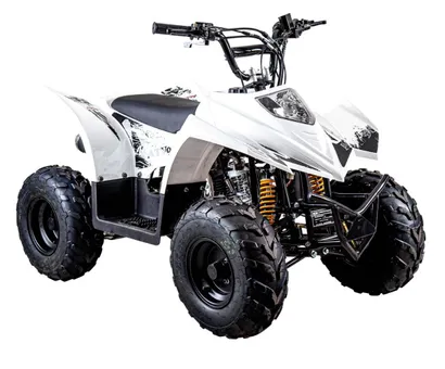 Fyrhjuling Viarelli ATV 90cc 7" Hjul white-metallic - Fyrhjuling barn ...
